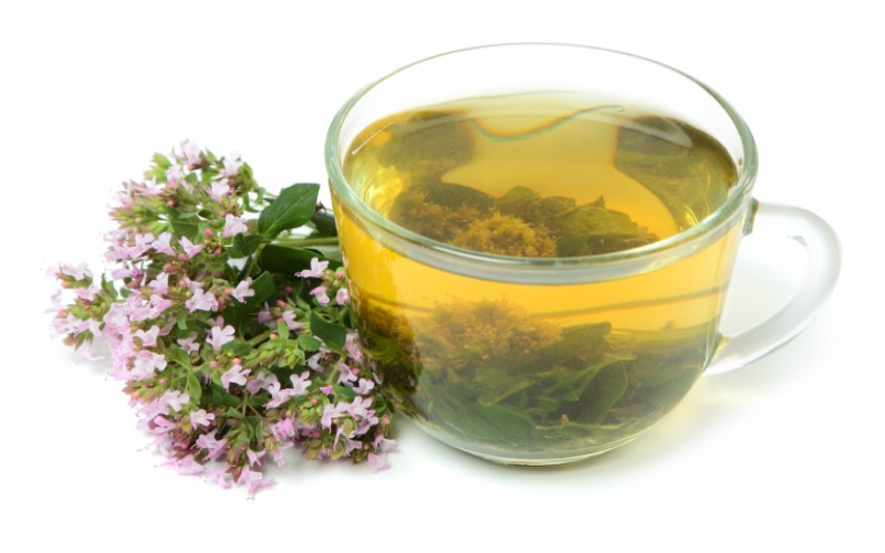 Ova biljka liječi bakterijske infekcije! - CentarZdravlja