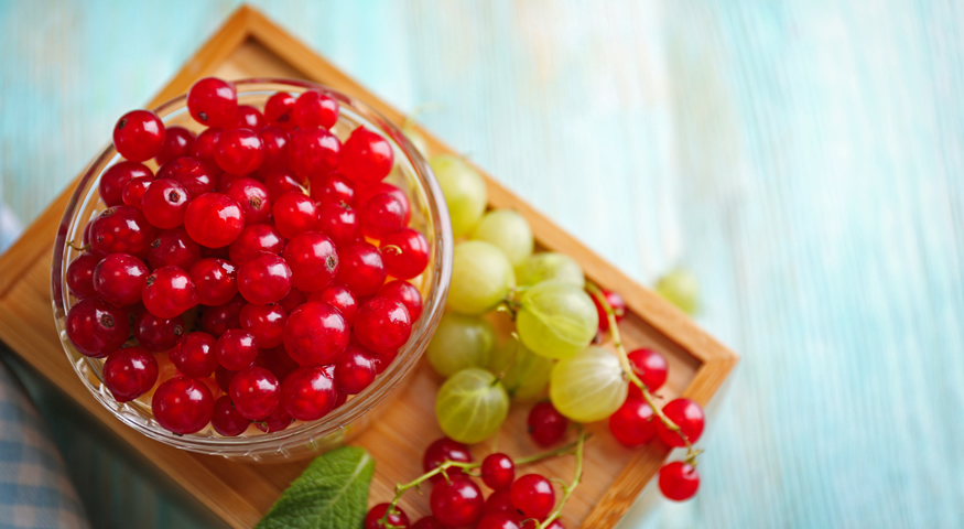 Top 5 recepata s ribizlama! - CentarZdravlja