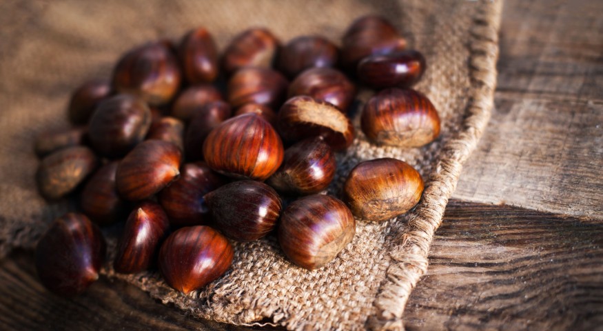 Kesten i 5 najboljih recepata - CentarZdravlja