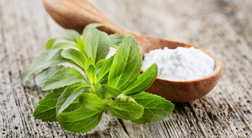 Stevija - saznajte sve o prirodnom zaslađivaču bez kalorija ...