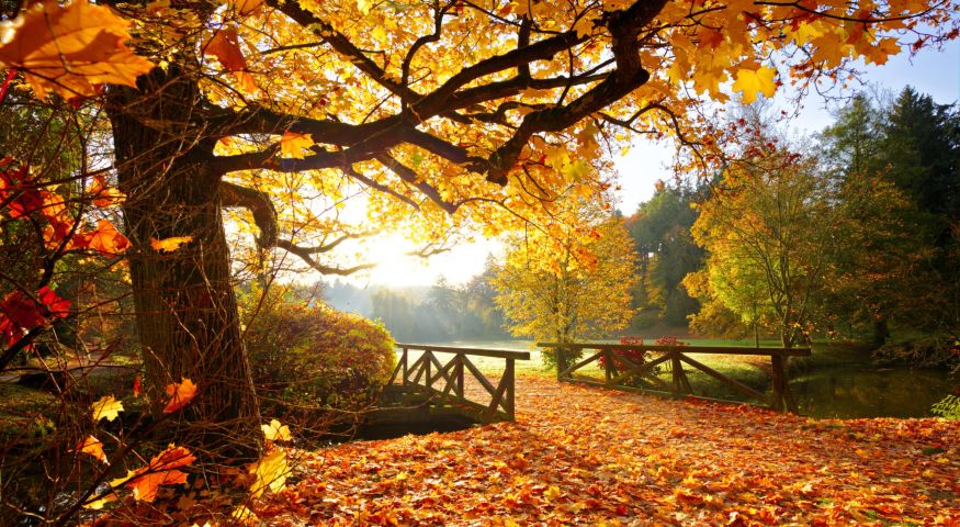 Mjesečni horoskop po znakovima za listopad 2022. - CentarZdravlja